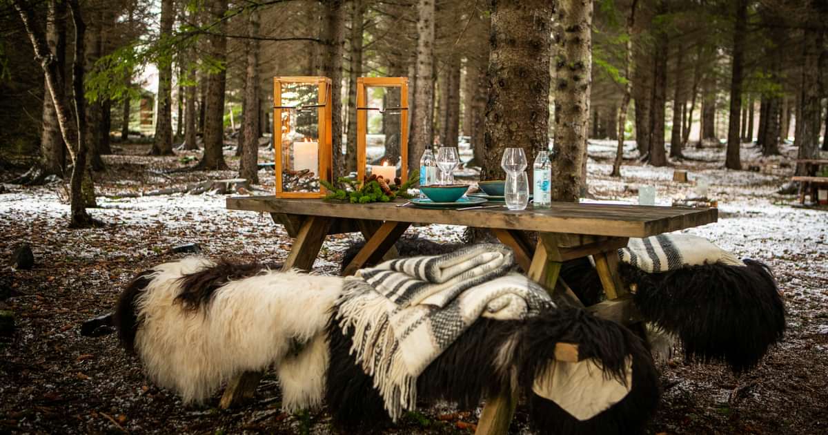 Wild Dining