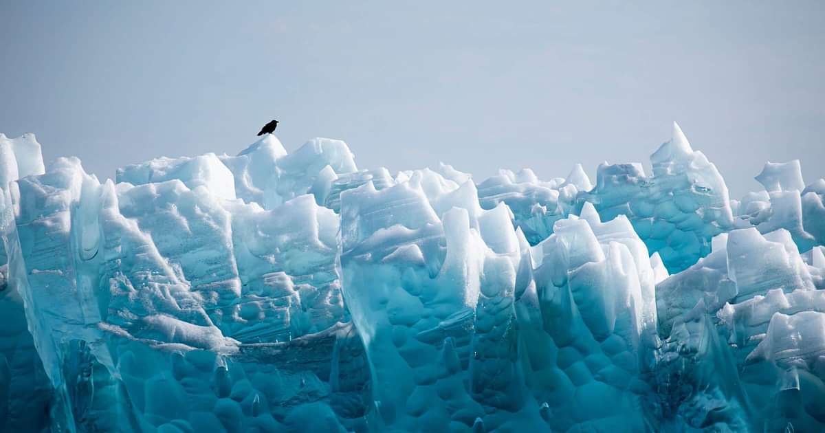 7-Day Luxury Greenland Summer Tour | Arctic Face